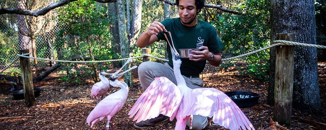 Educational Fun at Santa Fe College’s Planetarium & Teaching Zoo | Oakmont
